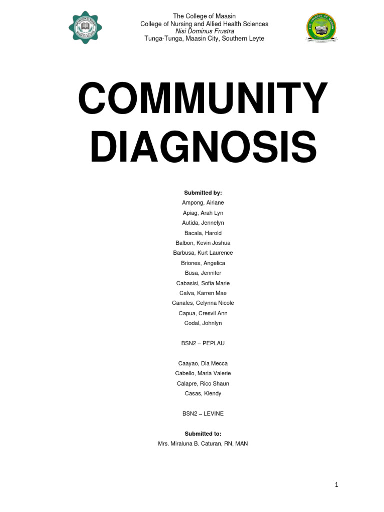 Community Diagnosis 1 | PDF | Nursing | Health Care