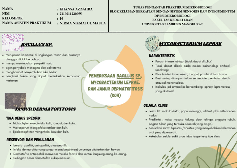 Mind Map Mikro Ksi | PDF