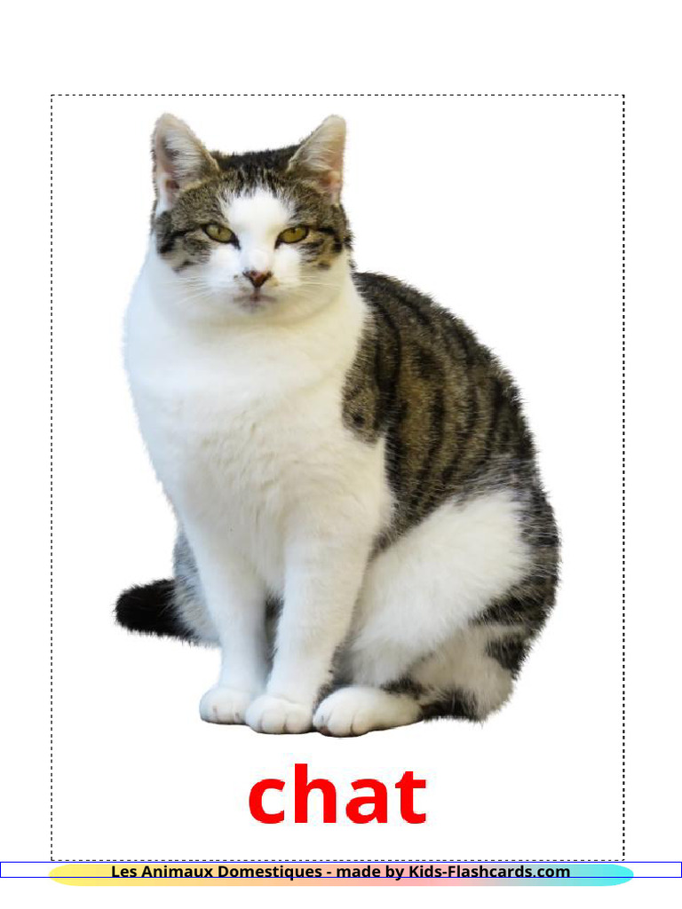 Les Animaux Domestiques 1 A4 | PDF