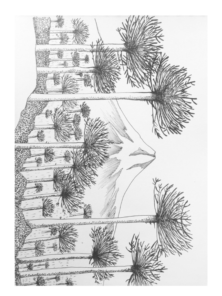 Dibujos Brenda | PDF Dibujos Brenda | PDF