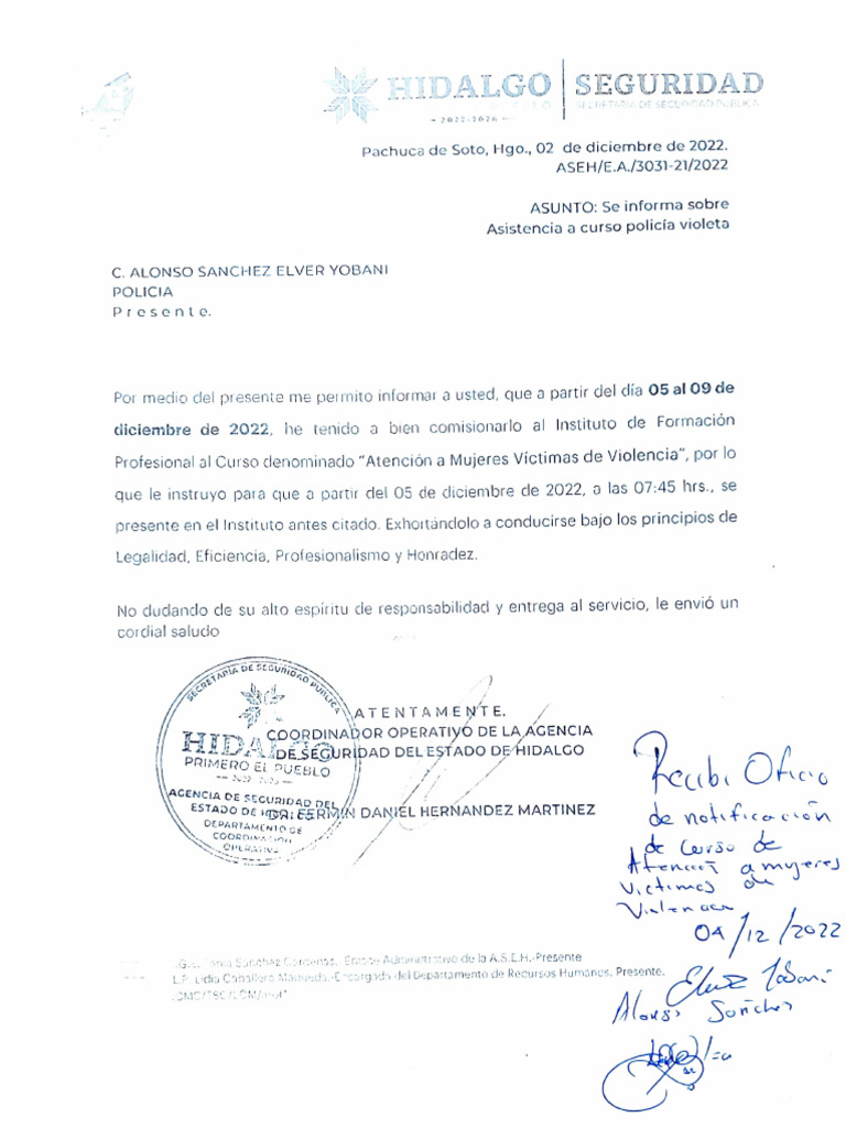 Acuse de Recibido | PDF