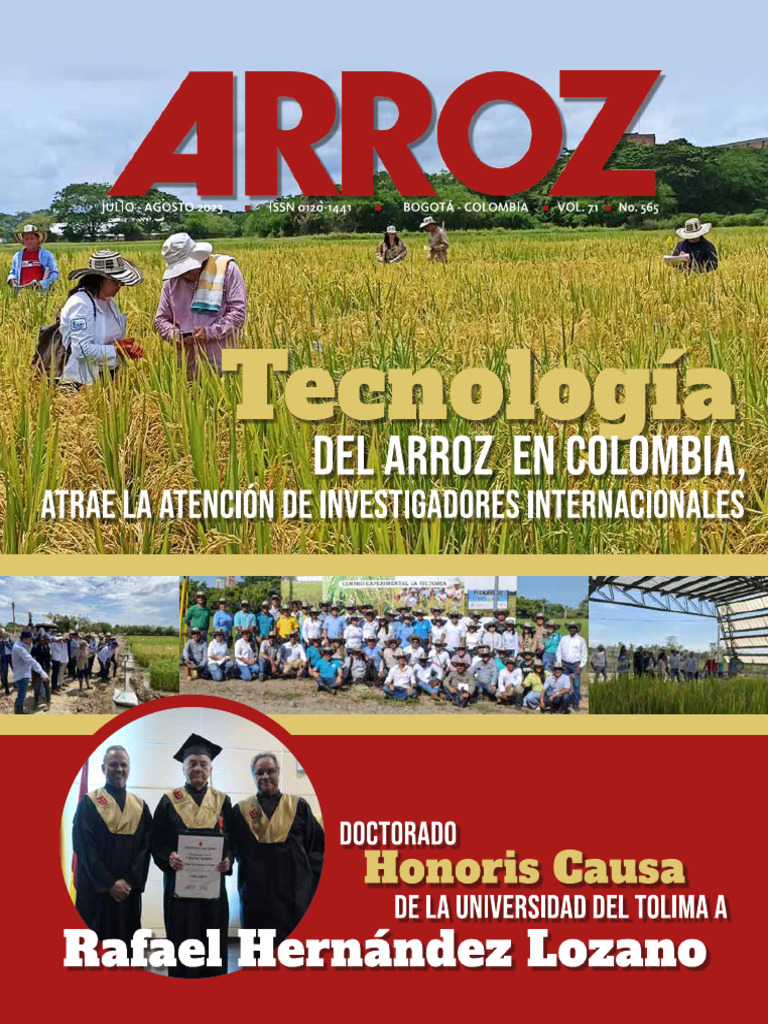 Revista Arroz 565 | PDF | Arroz | Agricultura