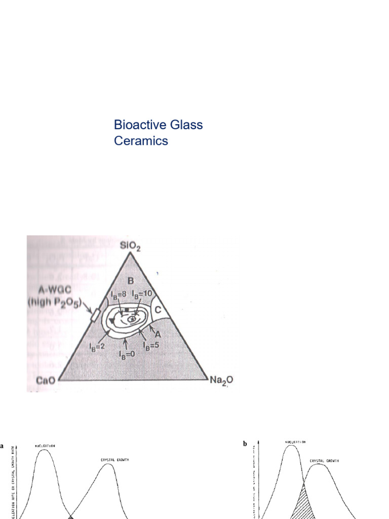 Bioactive Glass and Glass Ceramics | PDF | Glasses | Composite Material