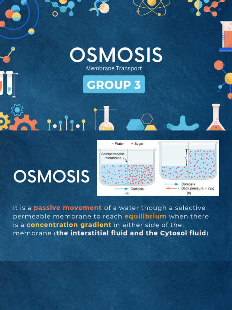 Osmosis Group 3 | PDF | Osmosis | Diffusion