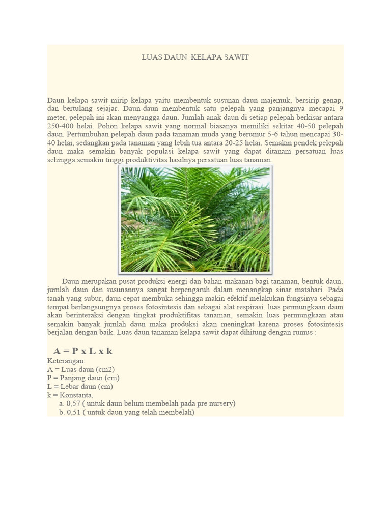 Luas Daun Kelapa Sawit | PDF