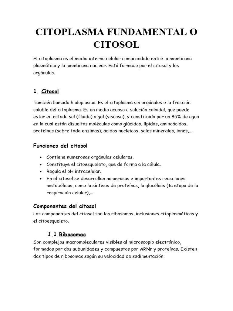 Citoplasma Fundamental o Citosol 2 | PDF | Actina | Ribosoma
