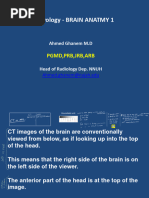 CT Brain Anatomy Overview | PDF | Cerebral Cortex | Skull