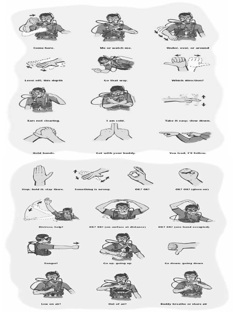 Common Scuba Hand Signals Short | PDF