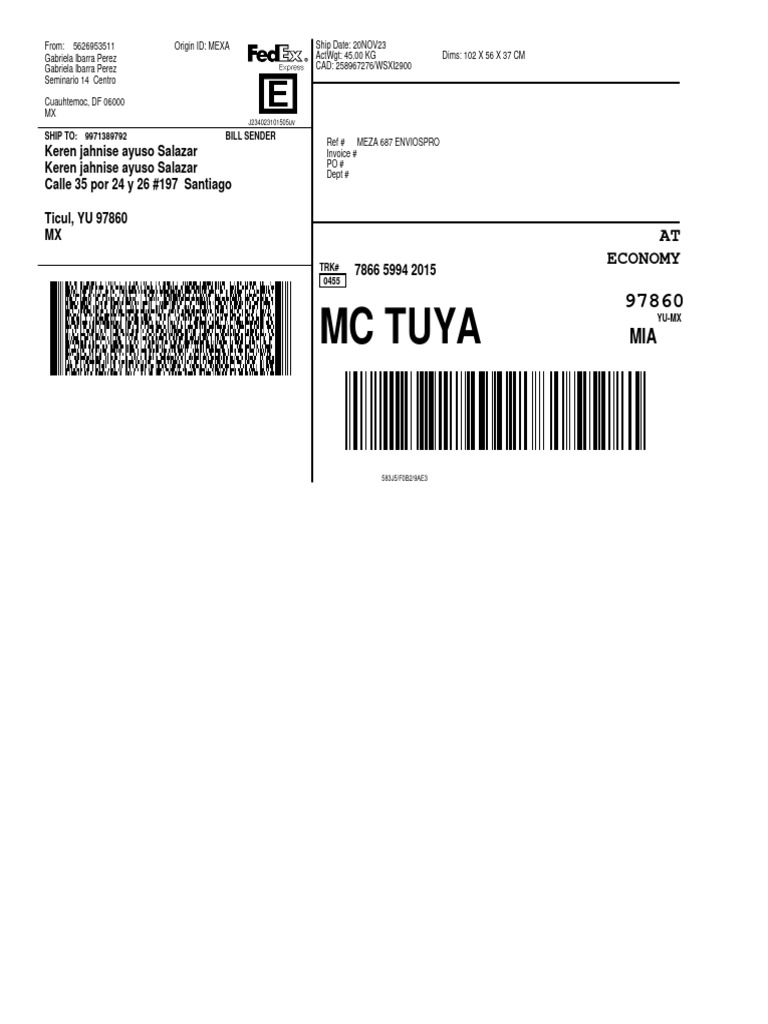 Fedex Economy | PDF