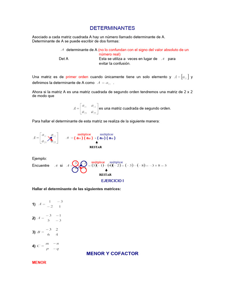 Determinantes de Matrices Cuadradas | PDF | Determinante | Matriz ...
