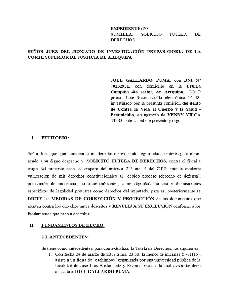 Solicitud de Tutela de Derechos | PDF | Debido al proceso | Ley procesal