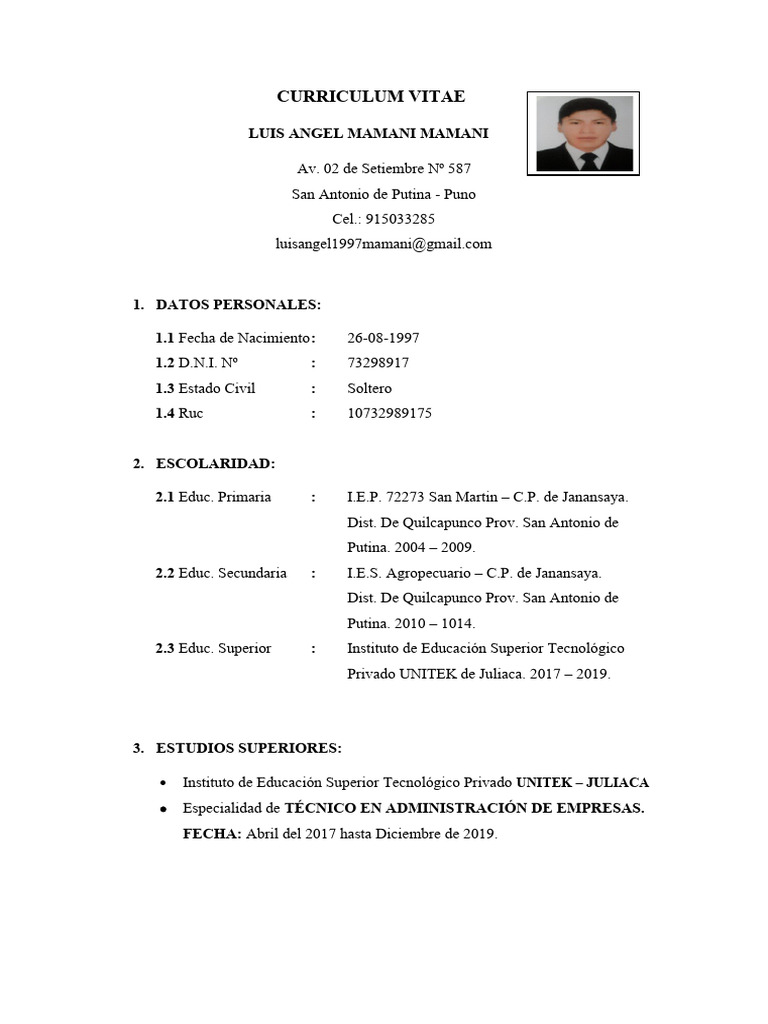 Curriculum Luis Simple | PDF | Informática