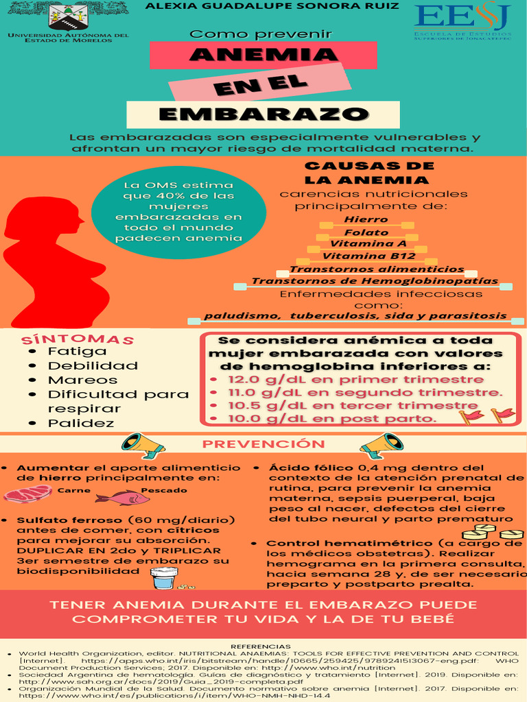 Anemia en El Embarazo | PDF | El embarazo | Anemia