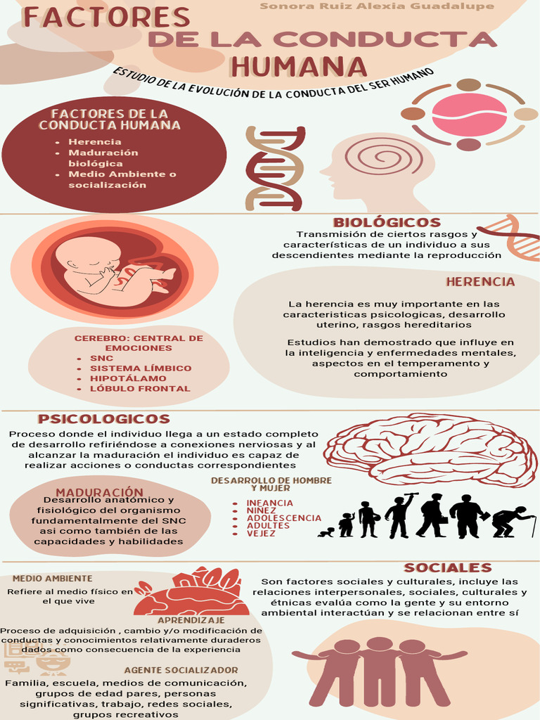 Factores de La Conducta Humana | PDF | Comportamiento | Sicología