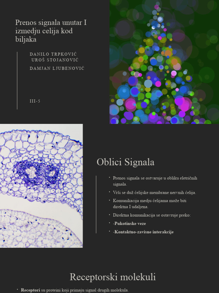 Oblici Signala | PDF