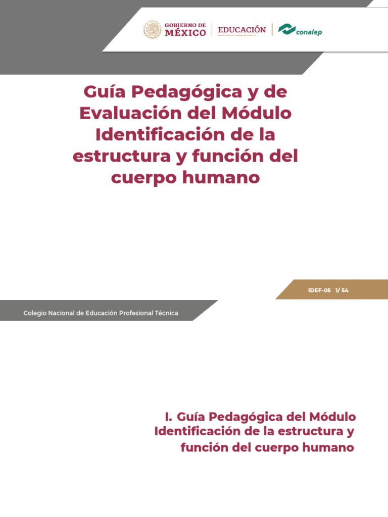 03. Identificación de la estructura y función del cuerpo humano_IDEF-05 ...