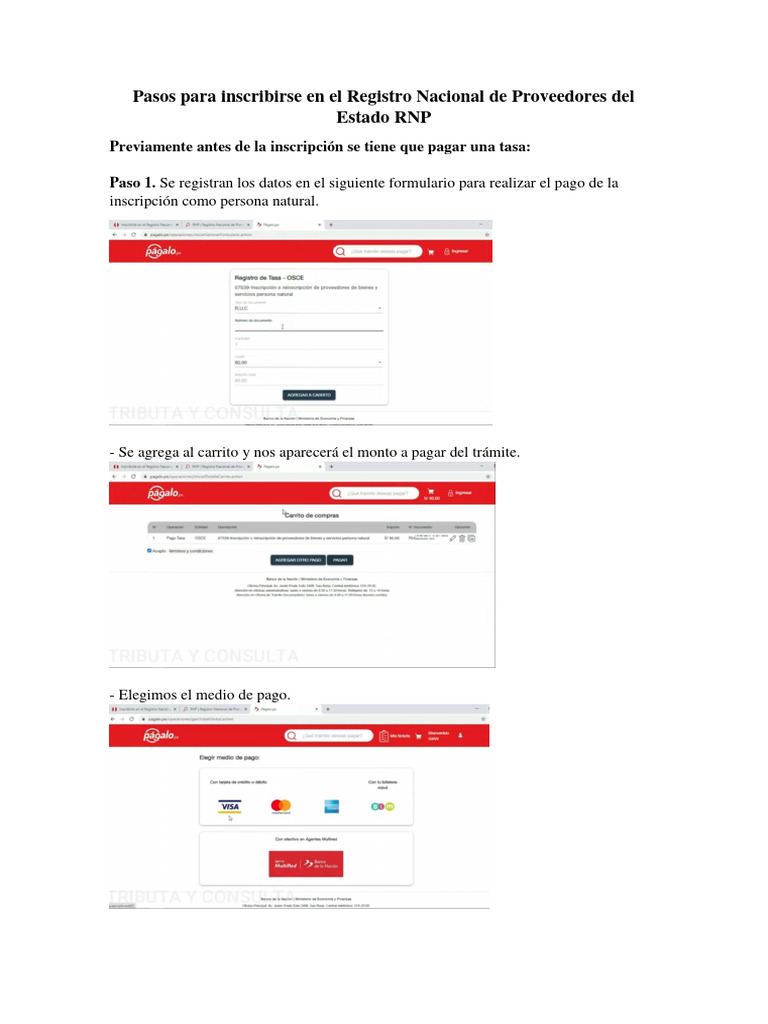 Pasos para Inscribirse en El RNP | PDF