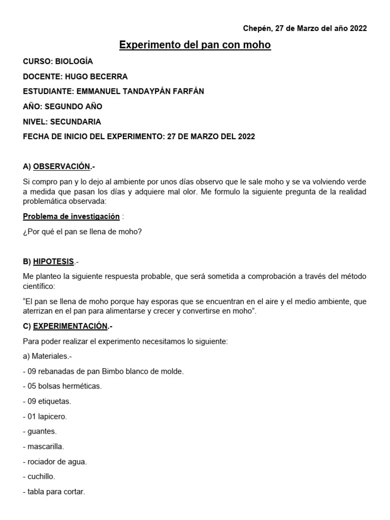 Experimento Del Pan Con Moho | PDF | Panes | Molde