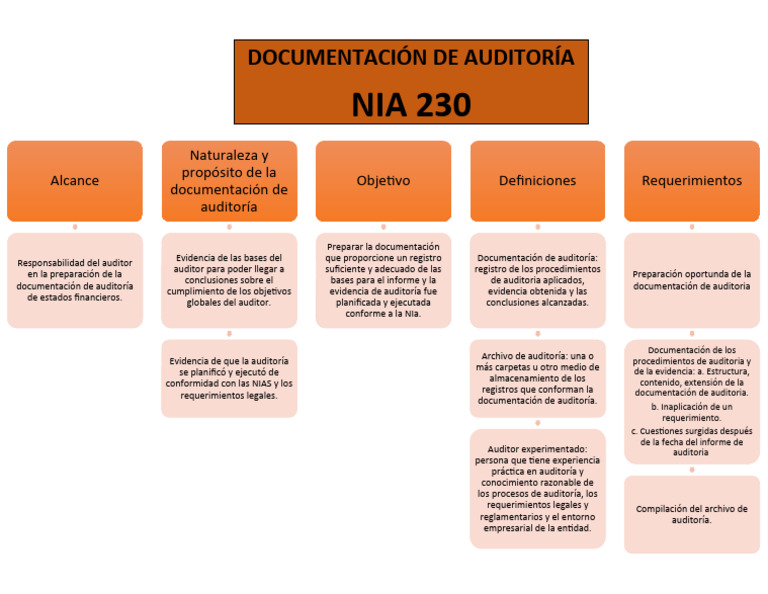 Esquema 230 | PDF | Auditoría | Informática
