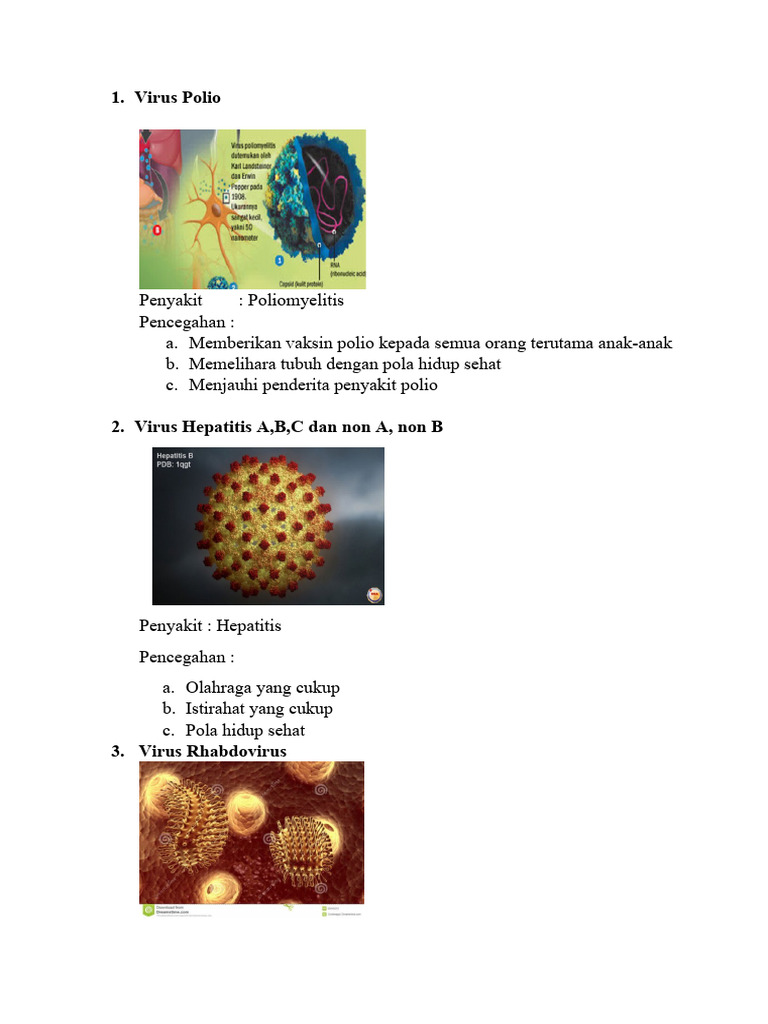 Macam Macam Virus | PDF