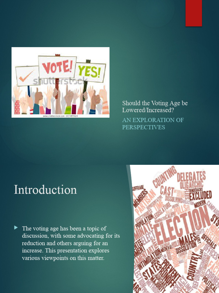 Should The Voting Age Be Lowered | PDF