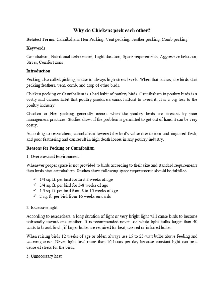 Causes of Chicken Pecking Behavior | PDF | Poultry Farming | Chicken