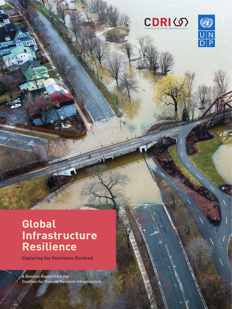 CDRI Global Infrastructure Resilience Report | Download Free PDF ...