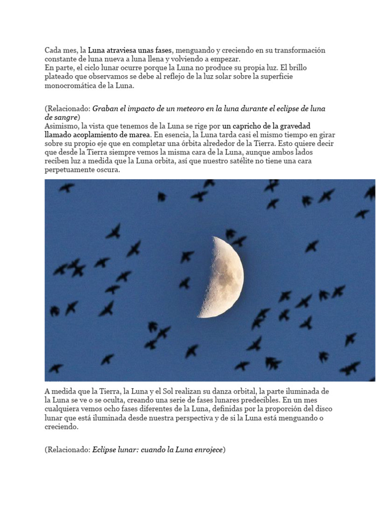 Fases de La Luna | PDF | Luna | Eclipse