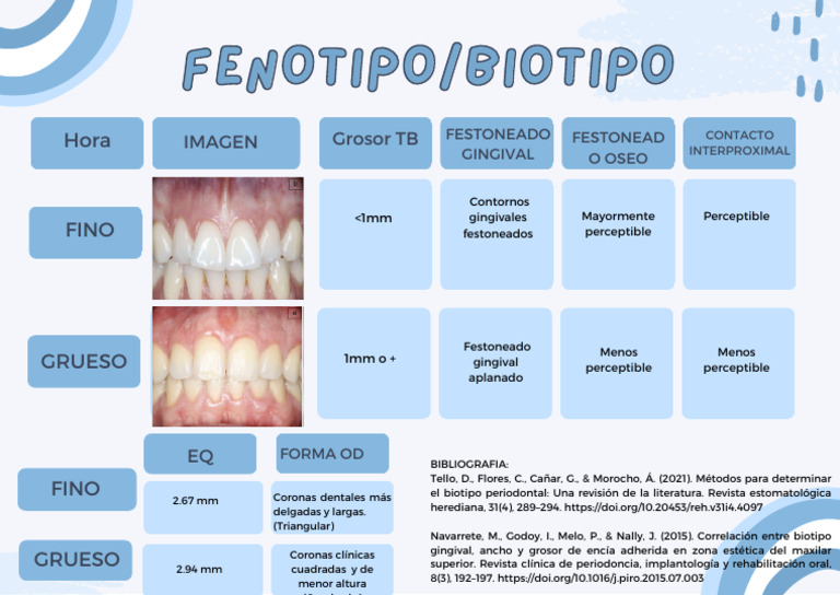 Fenotipo y Biotipo Gingival en Odontología | PDF
