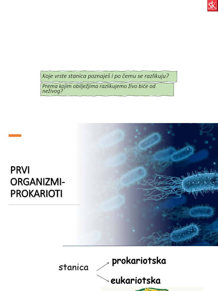 Prvi Organizmi-Prokarioti | PDF