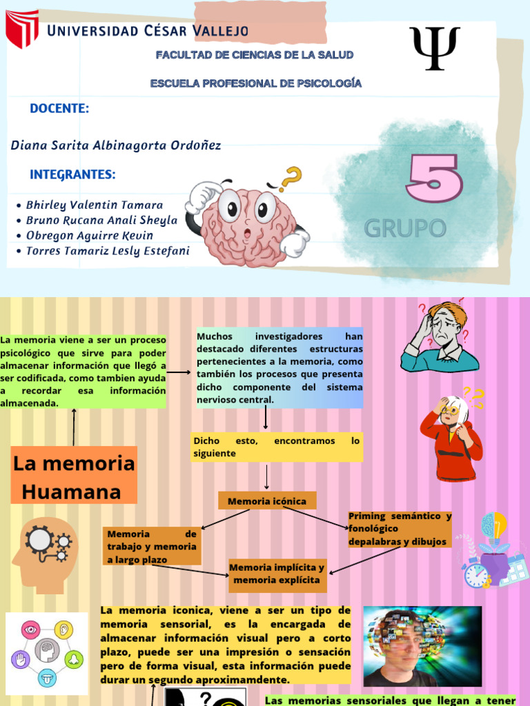 La Memoria Humana Pdf Memoria Sicología