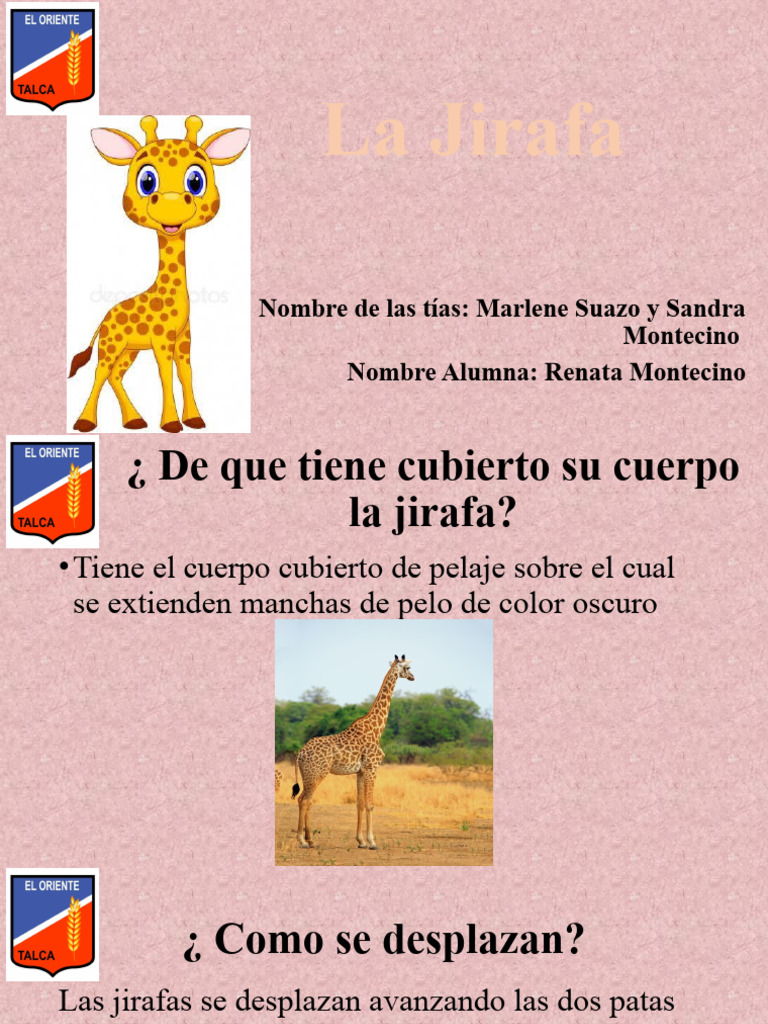 La Jirafa Disertacion Renata | PDF