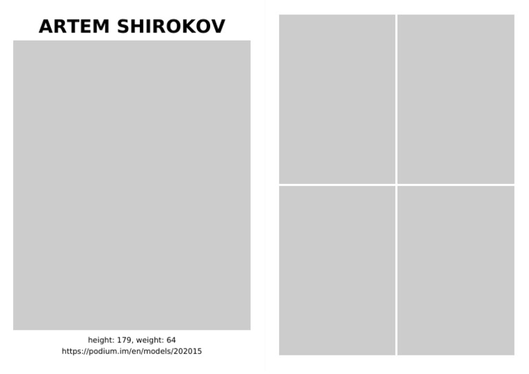 Artem Shirokov | PDF