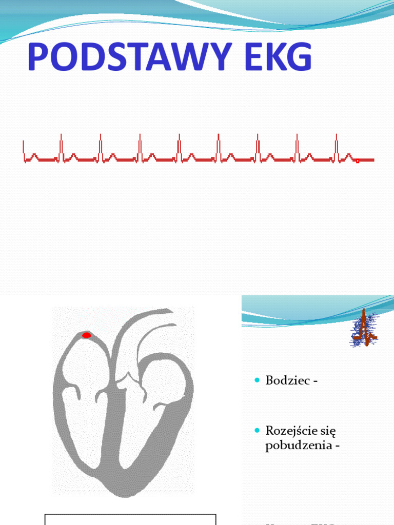 Podstawy EKG Popr | PDF