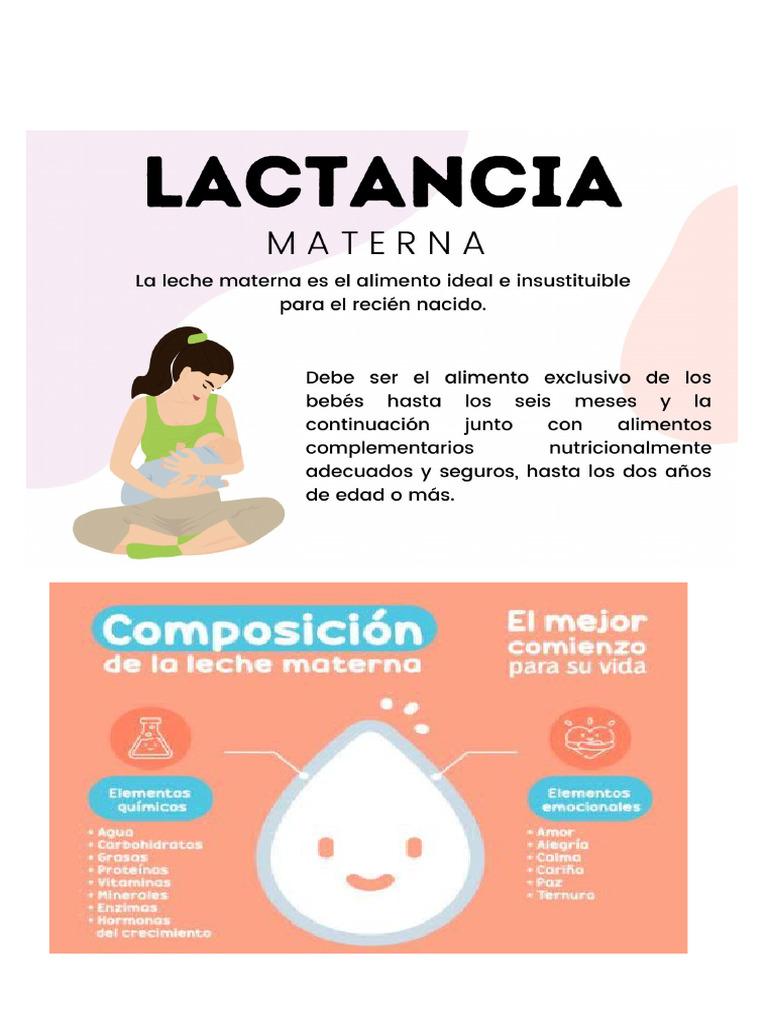 Lactancia Materna Pdf