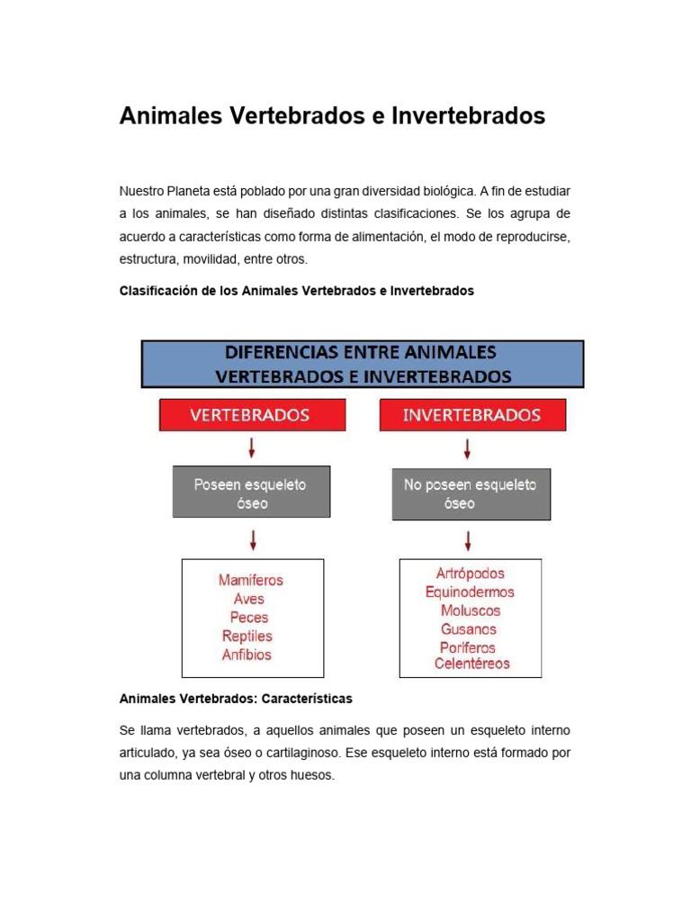 Clasificación de Animales Vertebrados e Invertebrados | PDF ...