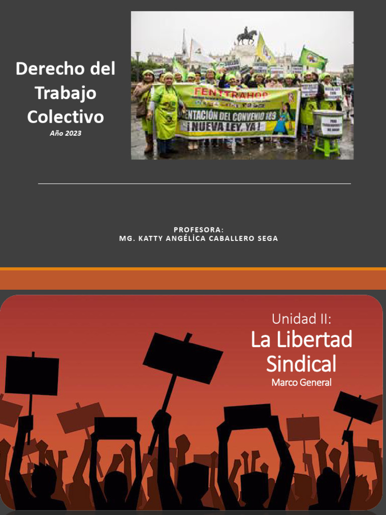 Unidad Ii - Libertad Sindical - Marco General | PDF | Sindicato | Derecho laboral