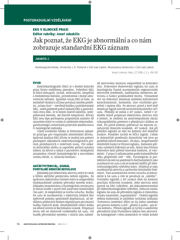 Jak Poznat, Že EKG Je Abnormální A Co Nám Zobrazuje Standardní EKG Záznam | PDF