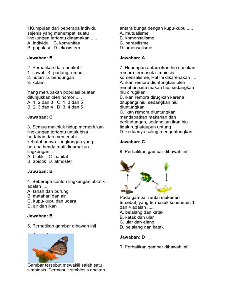 6 April Tentor Kels 5 | PDF
