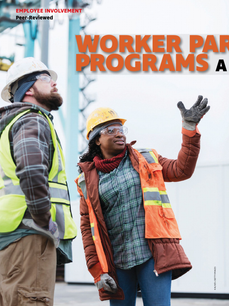 WORKER PARTICIPATION PROGRAMS A Multielement Approach | PDF ...
