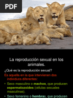 Reproducción y Desarrollo Embrionario Del Mamífero León | PDF