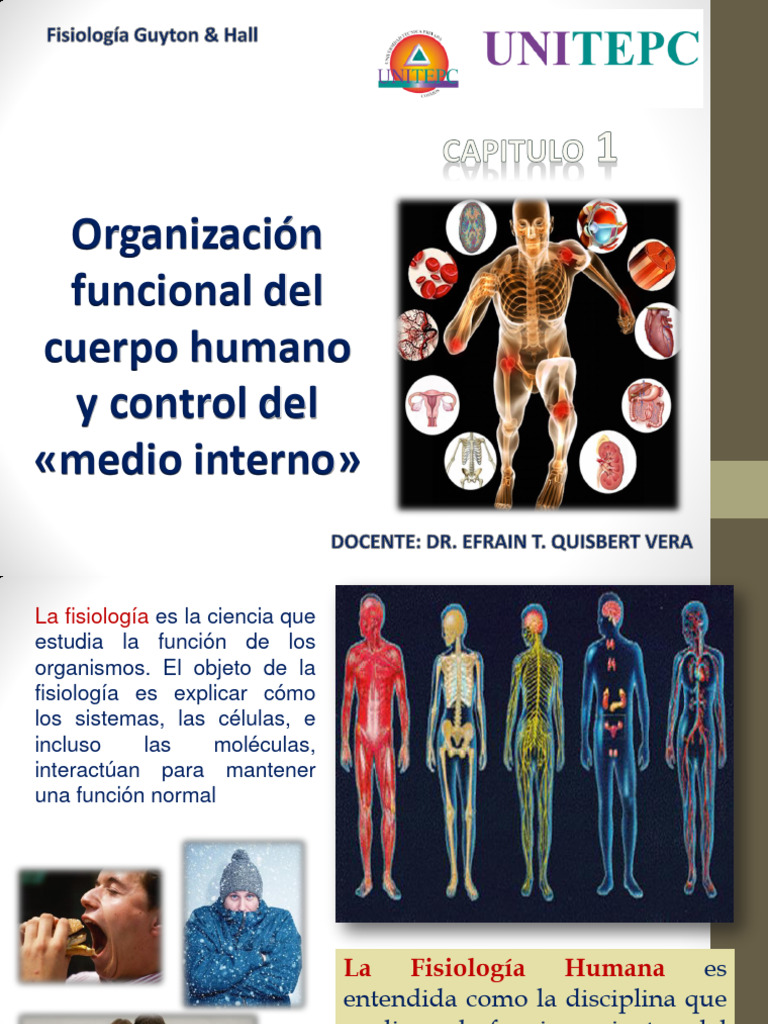 Cap 1 Fisiología Medio interno | PDF | Homeostasis | Metabolismo
