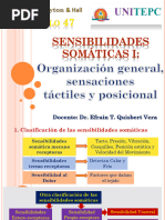 Sensibilidad somestésica y visceral | PDF | Dolor | Sistema somatosensorial