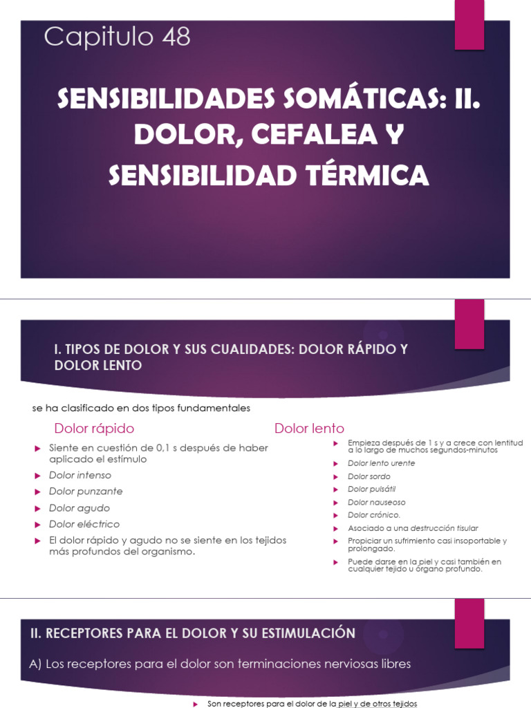 Cap 48 Sensibilidades Somaticas II Dolor Cefalea Sensibilidad Térmica | PDF