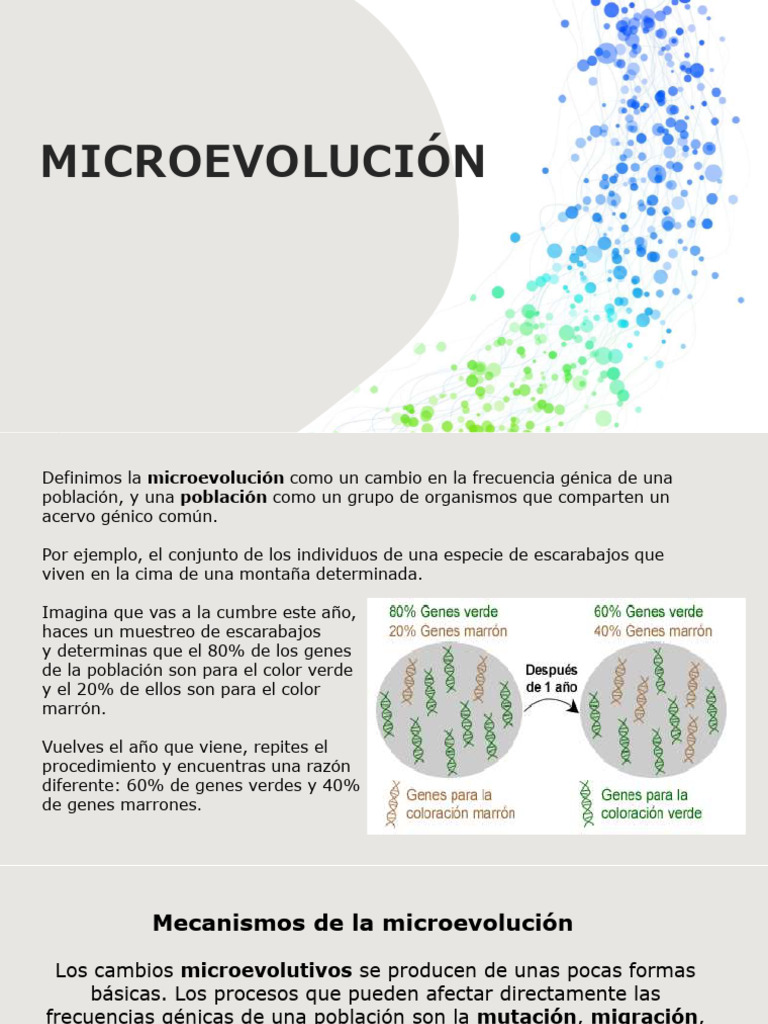 MICROEVOLUCIÓN | PDF | Gene | Seleccion natural