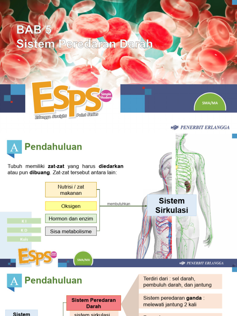 Bab 5 - PPT Biologi Esps Sma Xi-1 | PDF