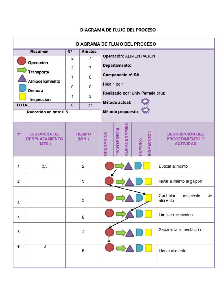 Diagrama de Flujo Del Proceso | PDF