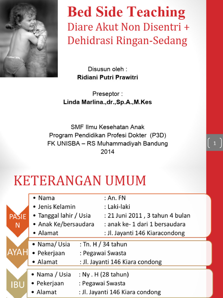 BST Ridiani PP Diare Akut | PDF