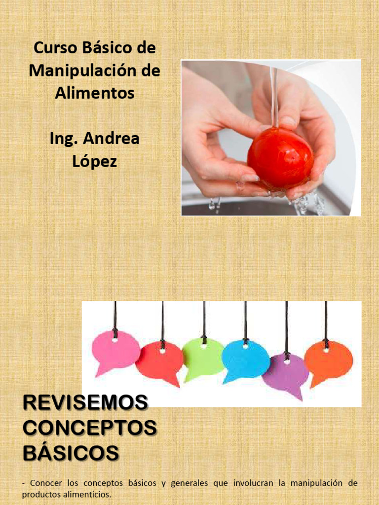Curso De Manipulacion Alimentos Pdf Alimentos Lavado De Manos