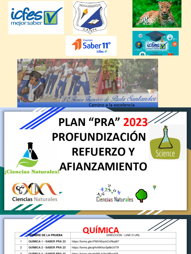 Plan Pra 2023 Inetfradpas | PDF